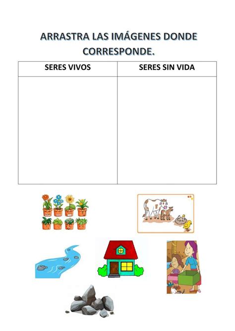 Los Seres Vivos Interactive Worksheet For Primero De Basica Live