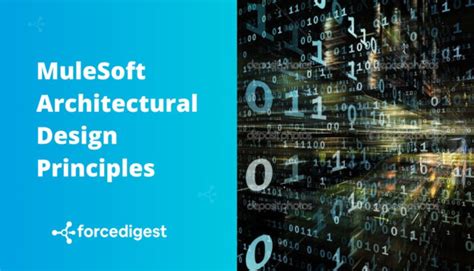 Mulesoft Architectural Design Principles