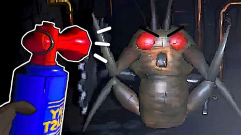 How To Choose Hoarding Bug Plush Toys Dookilive