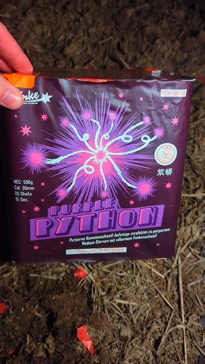 Purple Python Von Funke 💥🟣 Fireworks Feuerwerk Shorts Youtube