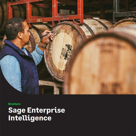 Sage Enterprise Intelligence O Melhor Software De Análise De Dados