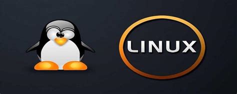 Linux中强大的xargs命令 知乎