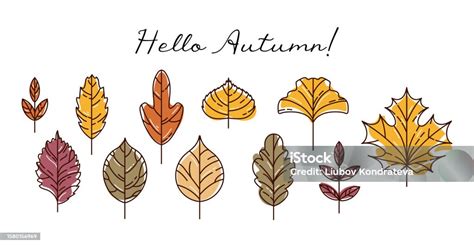 화려한 현대 가을 잎 아이콘의 집합입니다 단풍나무와 마가목 은행나무 코디아움 라일락 린든과 참나무 느릅나무와 포플러 스케치 스타일 스티커 웹 디자인 엽서 그리기에 대한 스톡