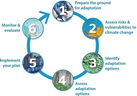 1 Visual Representation Of The Stages In The Adaptation Policy Cycle Download Scientific