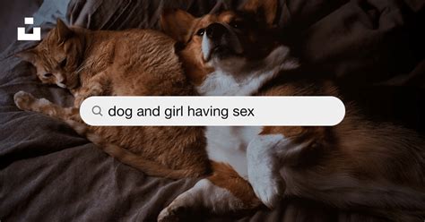 Dog And Girl Having Sex Pictures Download Free Images On Unsplash