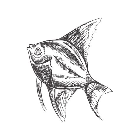 Tropical Pescado Ilustración Dibujo Grabado Tinta Línea Arte