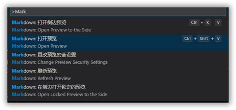 vscode配置markdown实时预览 vscode编写的markwown出险了please close and open the prev