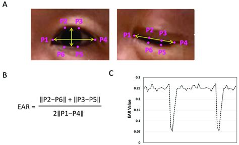 Eye Landmarks P1~p6 And Ear Calculation Formula For 2d Eye Blink Download Scientific Diagram