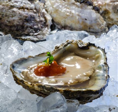 How To Prepare Softshell Crabs For Cooking Blog Harbour House Crabs