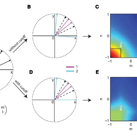 The Effect Of A Two Dimensional Shear Matrix On Two Arbitrary Vectors