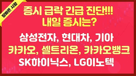 발빠른시황 증시 급락 긴급 진단 내일 증시는삼성전자 현대차 기아카카오 셀트리온 카카오뱅크sk하이닉스 Lg이노텍 Youtube