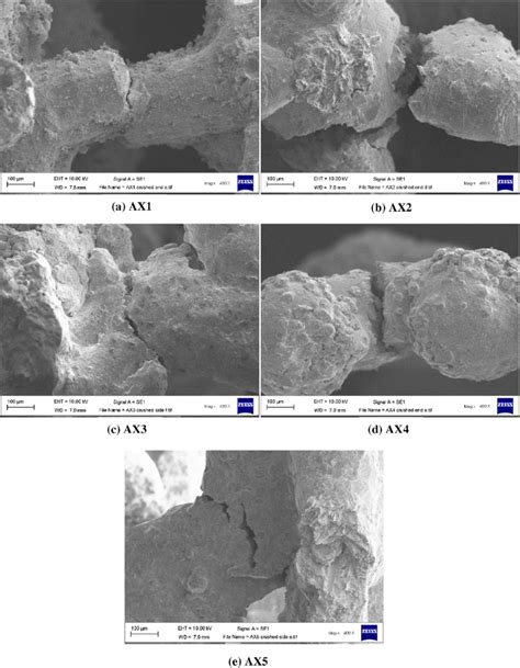 Sem Data Of The Failed Cocrmo Auxetic Bone Scaffold Highlighting