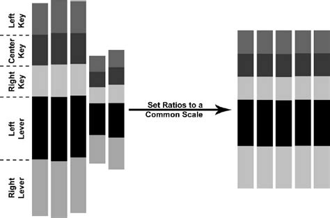 Pictorial Version Of Subject 1s Pairwise Bias Parameters On The Left
