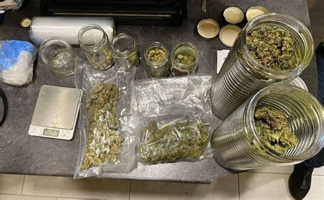 Поліція викрила киянина який в орендованій квартирі виростив канабісу на 400 тисяч гривень