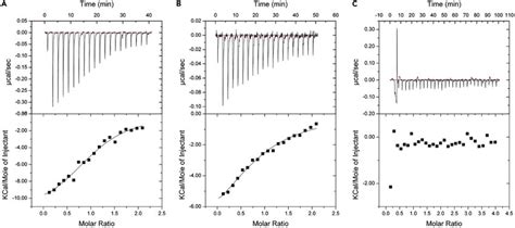 Representative Single ITC Titrations The Raw Data Of The Titrations Is Download Scientific