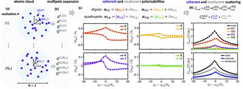 A Schematic Drawing Of A Subwavelength Atomic Cloud Composed Of N Download Scientific Diagram