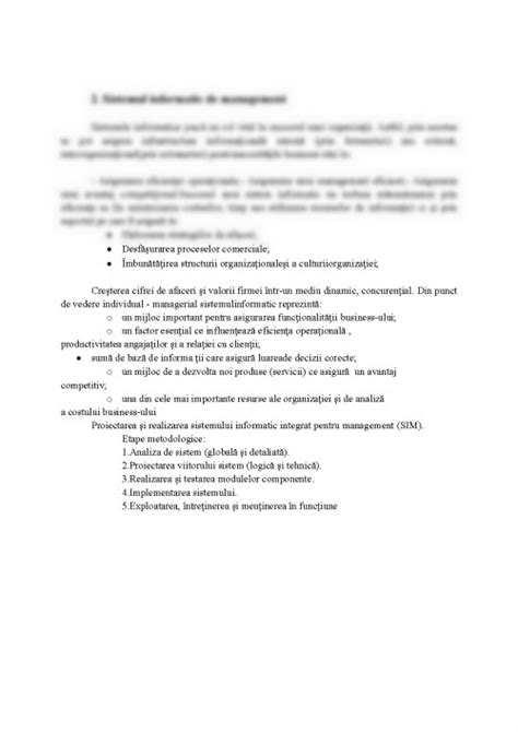 Referat Sisteme Informatice De Management 448189