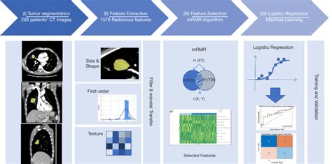 The Study Workflow Diagram I Tumor Segmentation The Tumor Was