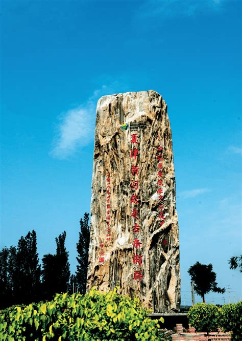 山东夏津：依托黄河故道古桑树群讲好黄河文化故事 产业 发展 保护