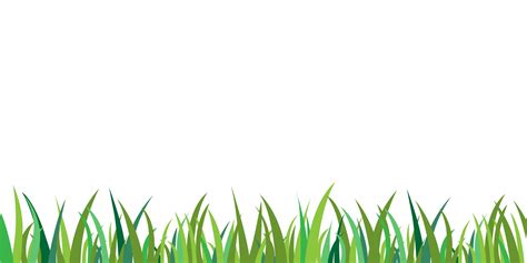 Green Grass Isolated Background Vector Grass Border Frame Decoration