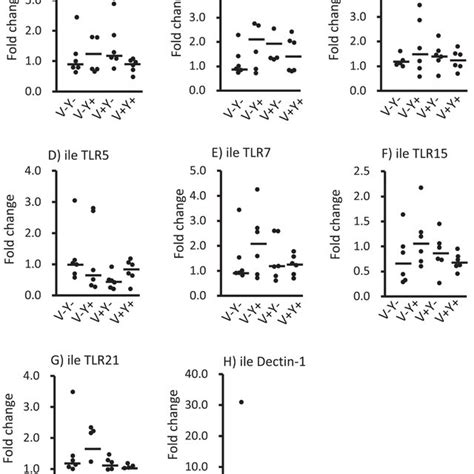 Reverse Transcription Polymerase Chain Reaction Rt Pcr Products Of