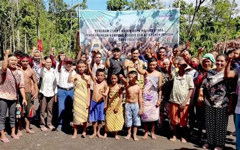 Antam Kembangkan Kampung Budaya Dan Ketahanan Pangan Suku Togutil Halmahera Kieraha
