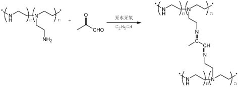 Degradable Imine Polycation And Synthetic Method Thereof And