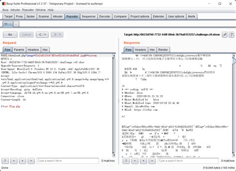 Ctfshow Web入门 文件上传 Writeup X1r0z Blog