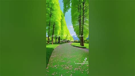 أنت تقدر Youtube