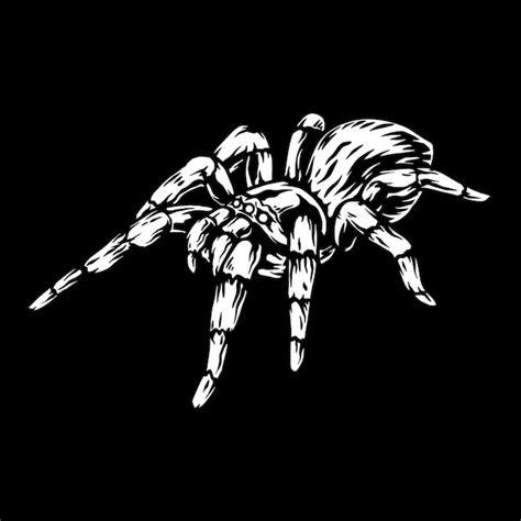Premium Vector Spider Tarantula Vector Art Illustration