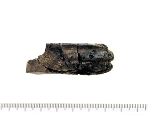 Open Context 19950043sideview