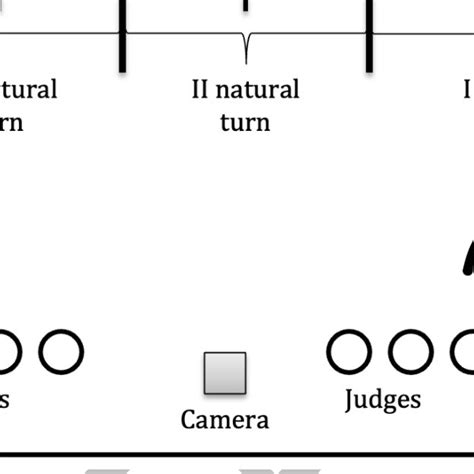 Schematic Of Accelerometric Measurement Of The Natural Turn Kinematic Download Scientific