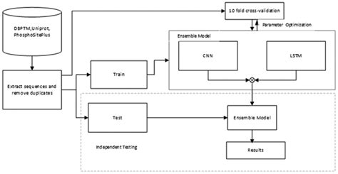 Deeprmethylsite A Deep Learning Based Approach For Prediction Of Arginine Methylation Sites In