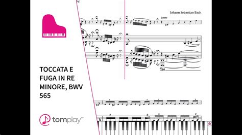 Toccata E Fuga In Re Minore Bwv 565 🎹 Youtube