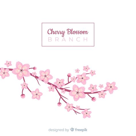 손으로 그린 벚꽃 지점 무료 벡터