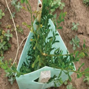 Rigid Tree Guard AGRIPAK