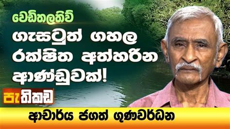 දිවයිනේ වයඹ දිග වෙරළ තීරයේ පිහිටි අතිශය වැදගත් කඩොලාන හා තෙත්බිම් පරිසර පද්ධතියක් වන වෙඩිතලතිව්