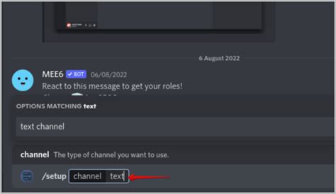 How To Check Your Discord Profile And Server Stats Techwiser