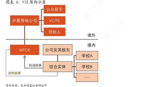 图表 VIE架构示意 行行查 行业研究数据库