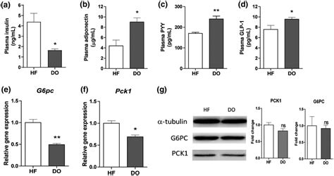 effects of do on glucose metabolism in db db mice gi hormones and gene