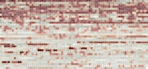 The Original Image Of PV Cells Download Scientific Diagram
