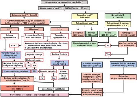Flowchart Of Standardised Pathways Of Diagnostics And Treatment Of Male