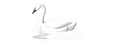 How To Draw Water In Nature Envato Tuts