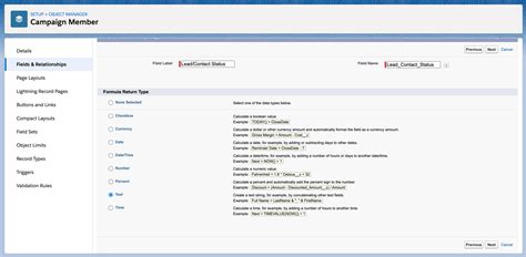 How To Add Custom Fields To Campaign Members In Salesforce Create A Formula Field Jenna Molby