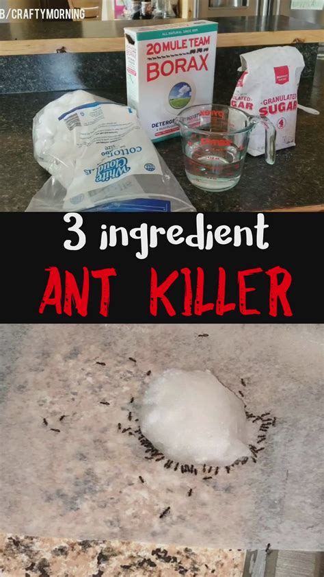 Ant Killer Recipe