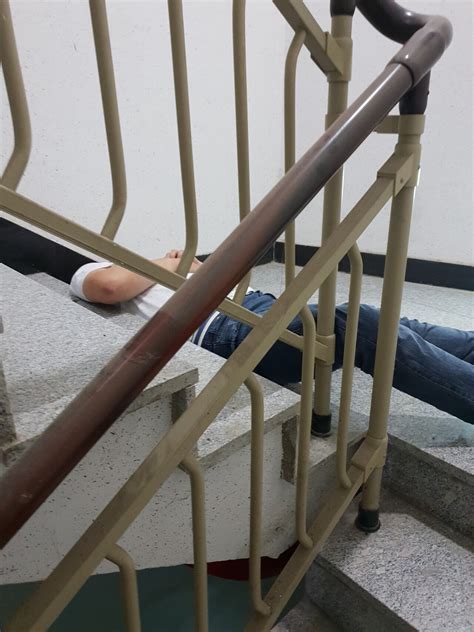 술적당히 마시자 포텐 터짐 최신순 에펨코리아