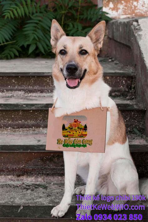 Vẽ Chibi Chú Chó đang Ngồi Trên Xe đẩy Trong Khu Vườn để Thiết Kế Logo Wio