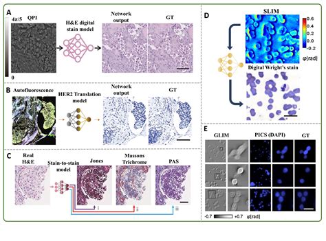 The Ozcan Research Group Refereed Journal Publications
