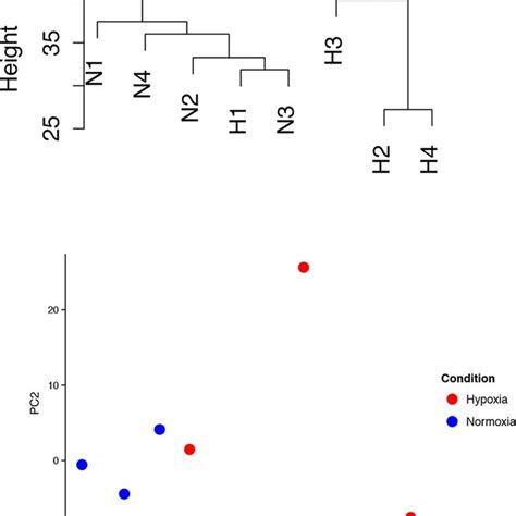 Hierarchical Clustering Top Panel Hierarchical Clustering Of Gene