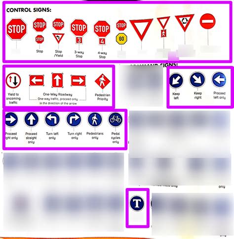 Sa Learners Revision Diagram Quizlet